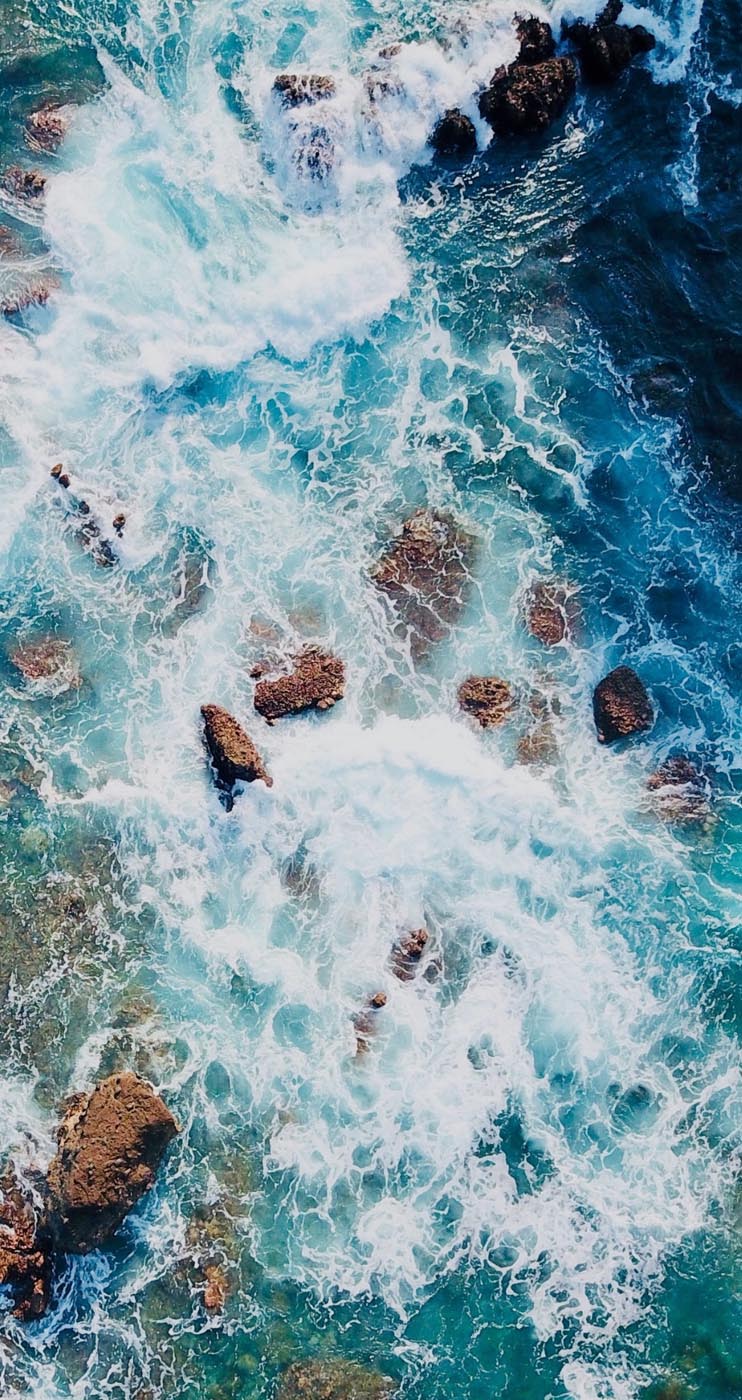 Exotic and Marine Notes | Perfume catalogue